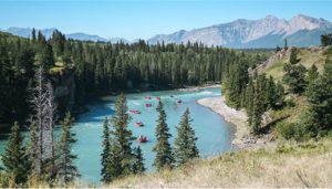 Whitewater River Rafting | Float Tours Banff | Canadian Rockies Rafting